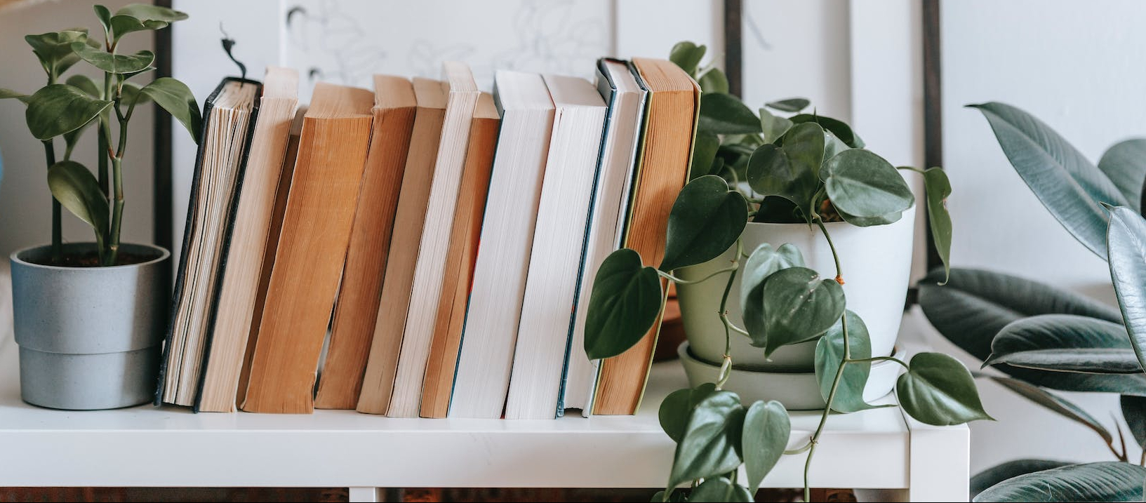 About Us – Komorebi Services